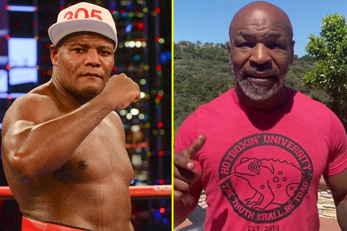 Nhiều người muốn kiểm chứng cú đấm của Mike Tyson