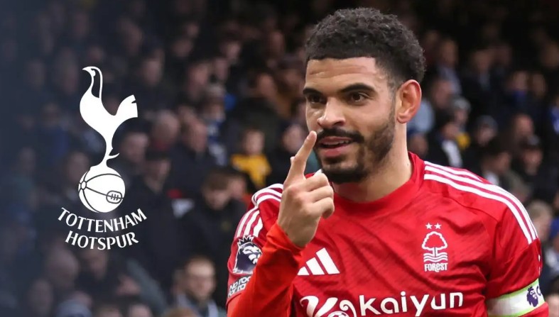 Morgan Gibbs-White bổ sung sức mạnh phản công cho Tottenham dưới thời ...
